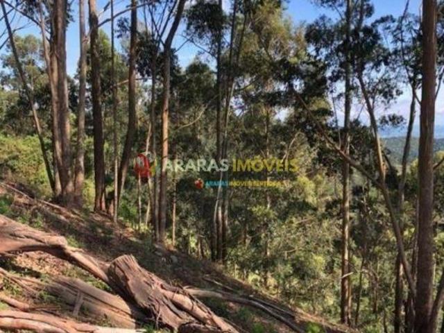 Terreno à venda, 24200 m² por R$ 1.200.000,00 Centro Bertioga/SP