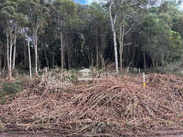 Terreno à venda, 2552 m² por R$ 170.000,00 Taipas de Pedra São Roque/SP