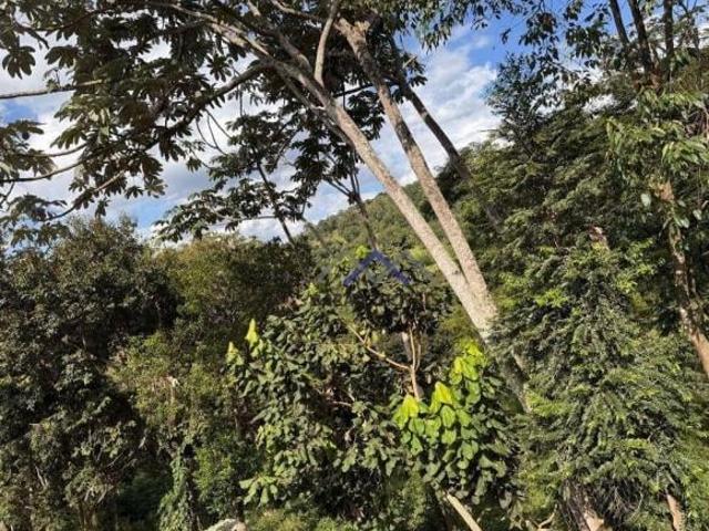 Terreno à venda, 2571 m² por R$ 560.000,00 Recanto dos Pássaros Piracaia/SP