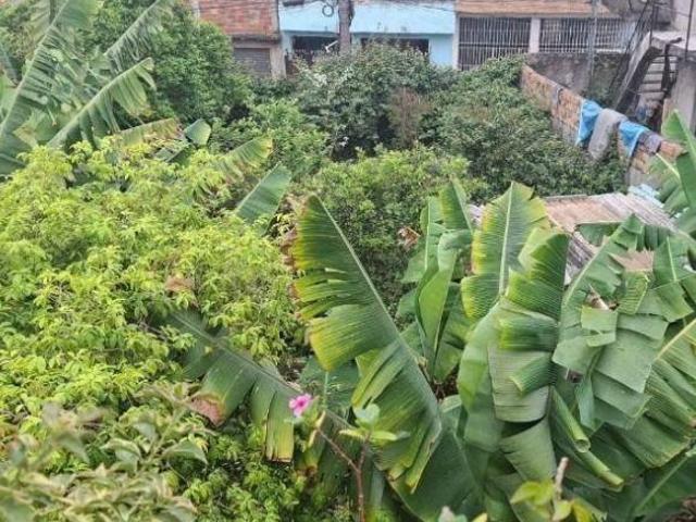 Terreno à venda, 258 m² por R$ 300.000,00 Jardim Egle São Paulo/SP
