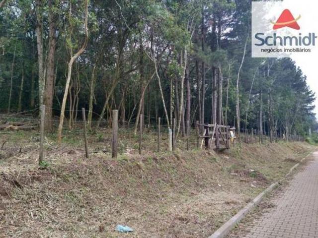Terreno à venda, 259 m² por R$ 129.000,00 Campestre São Leopoldo/RS
