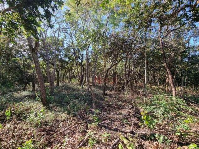 Terreno à venda 2500 m² Bairro Santa Cruz Mateus Leme/MG
