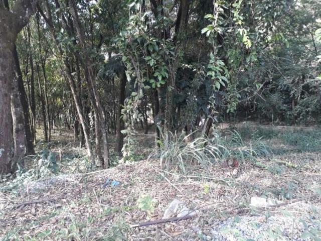 Terreno à venda, 2500 m² por R$ 1.280.000,00 Condomínio Condados da Lagoa Lagoa Santa/MG