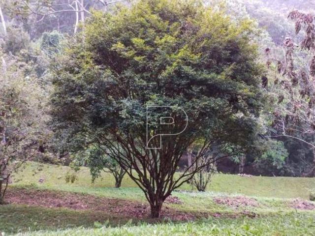 Terreno à venda, 2500 m² por R$ 800.000,00 Granja Viana Cotia/SP