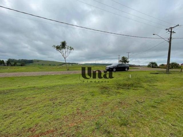 Terreno à venda, 2505 m² por R$ 550.000,00 Rodovia Sertanópolis/PR