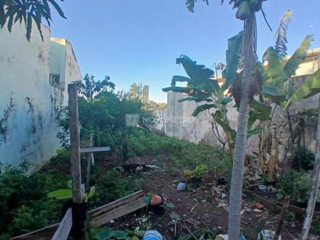 Terreno a Venda | 250 m² | Nova Campinas | Campinas/SP