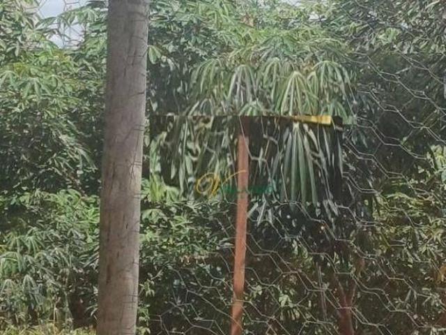 Terreno à venda, 250 m² por R$ 130.000,00 Residencial Machado I São José do Rio Preto/SP