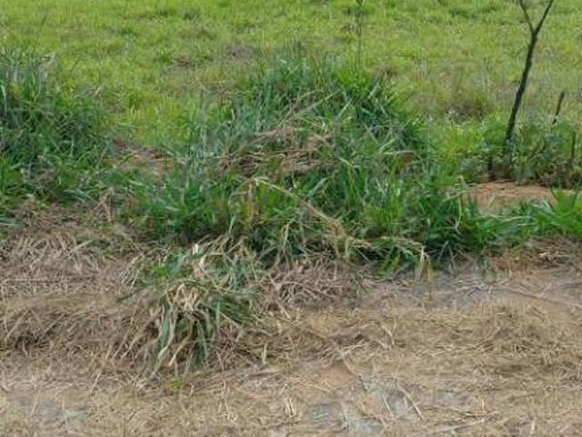 Terreno à venda, 250 m² por R$ 140.000,00 Itapecerica Taubaté/SP