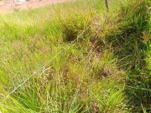 Terreno à venda, 250 m² por R$ 150.000,00 Itapecerica da Serra Itapecerica da Serra/SP