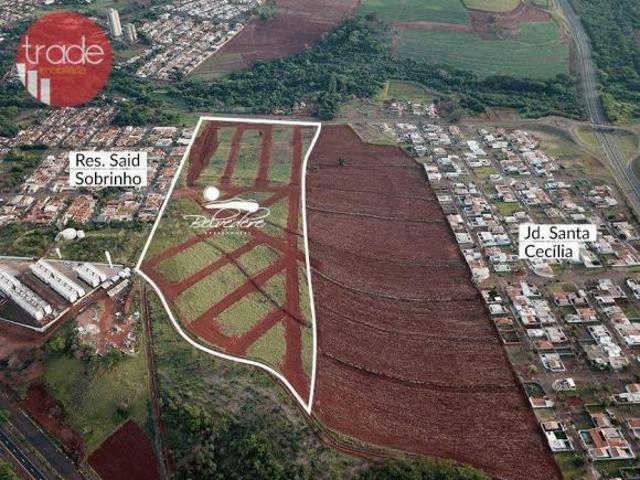 Terreno à venda, 250 m² por R$ 162.870,00 Belvedere Residencial Ribeirão Preto/SP