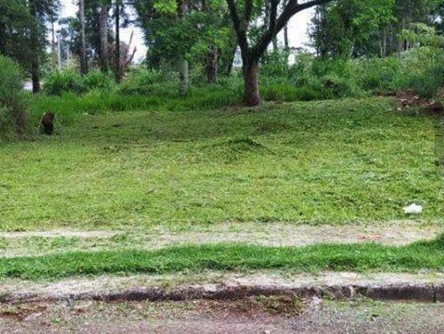 Terreno à venda, 250 m² por R$ 180.000 Morumbi Cascavel/PR