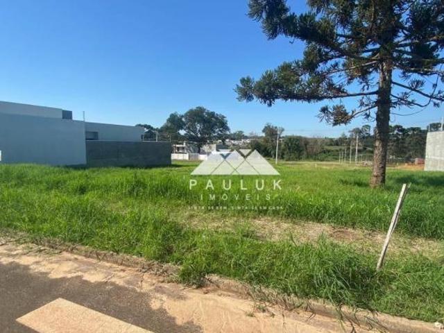 Terreno à venda, 250 m² por R$ 200.000,00 Írio Holler Foz do Iguaçu/PR