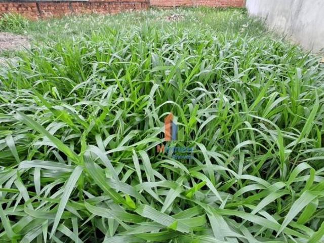 Terreno à venda, 250 m² por R$ 235.000 Parque Gabriel Hortolândia/SP
