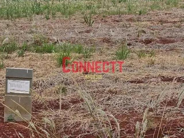 Terreno à venda, 250 m² por R$ 245.000,00 Recreio Anhangüera Ribeirão Preto/SP