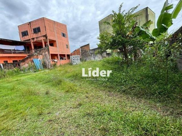 Terreno à venda, 250 m² por R$ 265.000,00 Tinga Caraguatatuba/SP