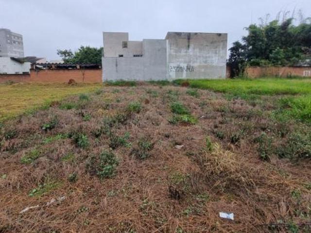 Terreno à venda, 250 m² por R$ 279.999 Jardim Palmeiras Santa Bárbara D&apos Oeste/SP
