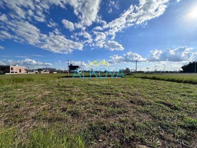 Terreno à venda, 250 m² por R$ 330.000,00 Jardim das Flores São José dos Campos/SP