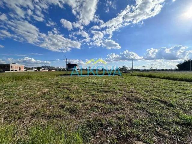 Terreno à venda, 250 m² por R$ 330.000,00 Jardim das Flores São José dos Campos/SP