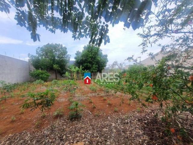 Terreno à venda, 250 m² por R$ 330.000 Jardim Cândido Bertini Santa Bárbara D&apos Oeste/SP