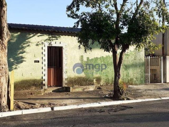 Terreno à venda, 250 m² por R$ 900.000,00 Vila Maria Alta São Paulo/SP