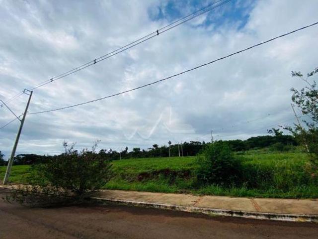 Terreno à venda,250.00 m, Jardim Coopagro, TOLEDO PR