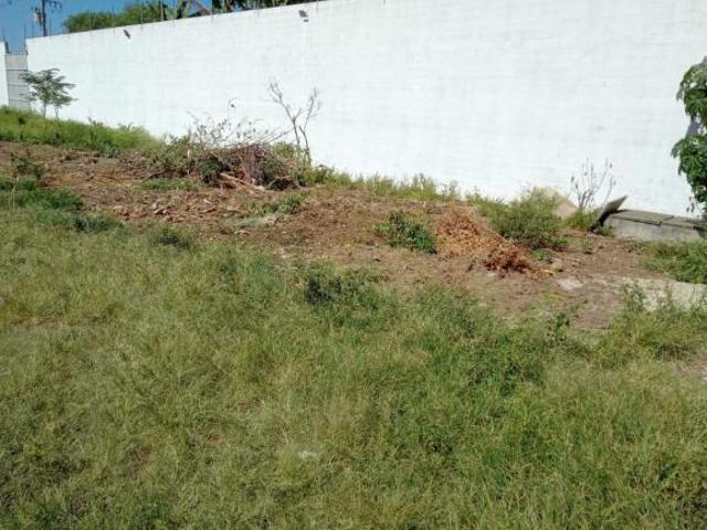 Terreno à venda 250M², Vila Suiça, Pindamonhangaba SP