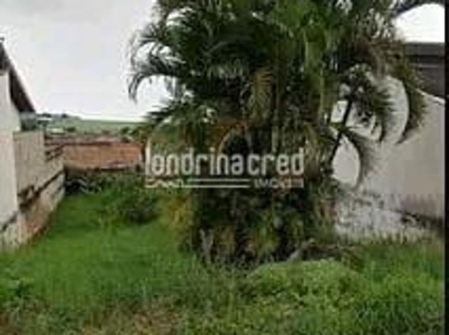 Terreno à venda 250M², Indusville, Londrina PR