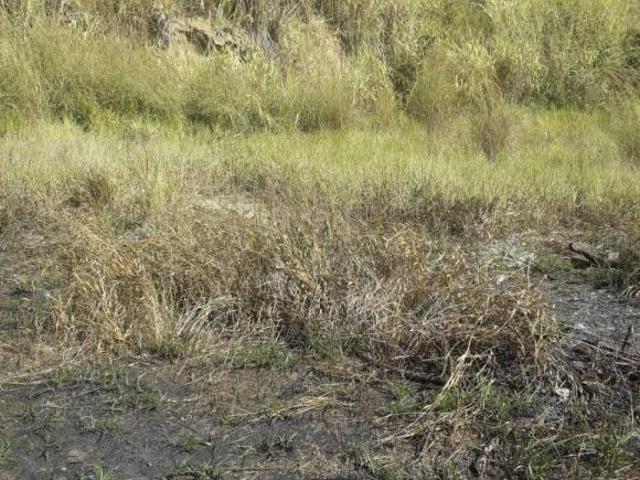 Terreno à venda 250M², Itaguaçú, Aparecida SP