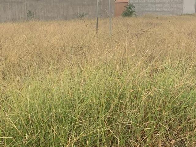 Terreno à venda 250M², Moreira César, Pindamonhangaba SP