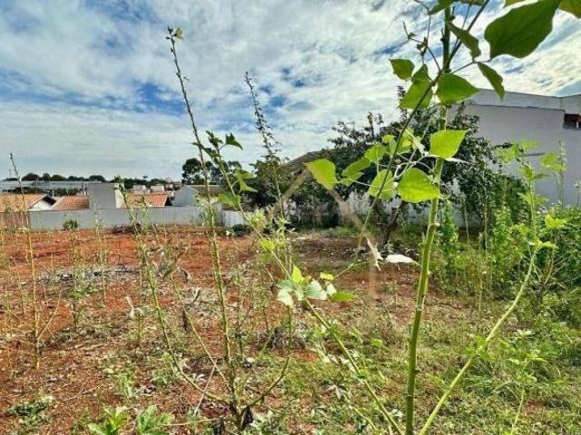 Terreno à venda, 253 m² Jardim São Camilo Santa Bárbara D&apos Oeste/SP