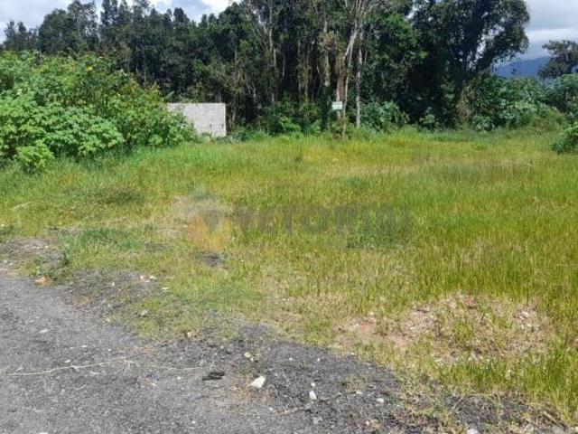 Terreno à venda, 268 m² por R$ 180.000,00 Golfinho Caraguatatuba/SP