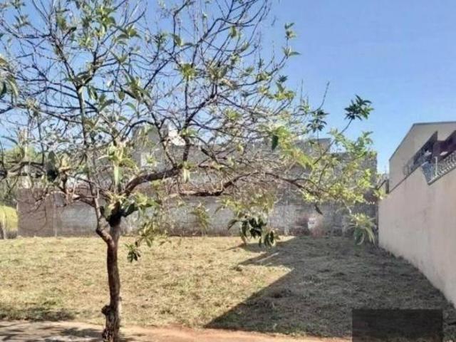 Terreno à venda, 260 m² por R$ 175.000,00 Parque Residencial J. Macedo São José do Rio Preto/SP