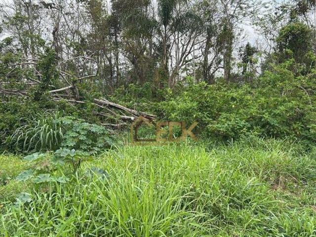 Terreno à venda, 260 m² por R$ 170.000,00 Massaguaçu Caraguatatuba/SP