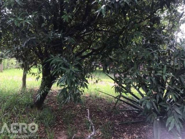 Terreno à venda, 2617 m² por R$ 400.000,00 Panorama Parque Bauru/SP