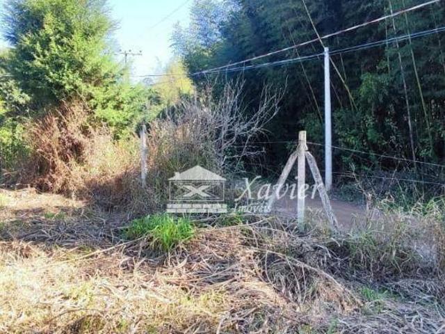 Terreno à venda, 2626 m² por R$ 220.000,00 Caete Mailasqui São Roque/SP