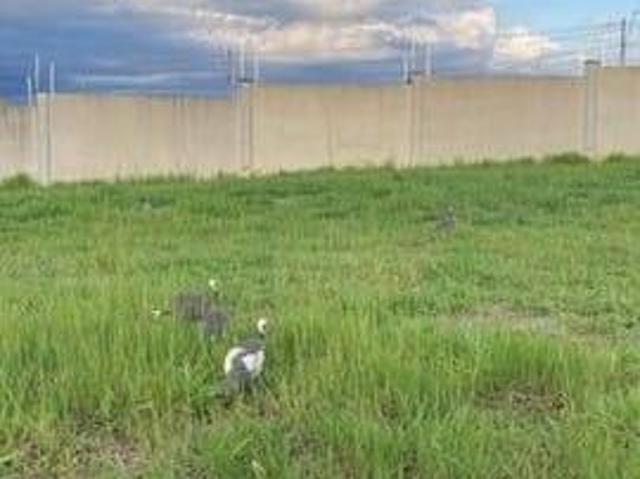 Terreno à venda 275M², Fazenda Itapecerica, Taubaté SP | Condomínio Ágata