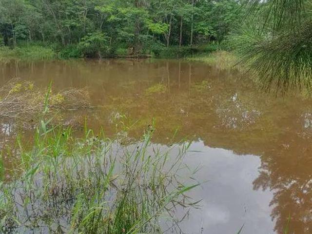 Terreno à venda, 27000 m² por R$ 1.007.000 Vila Moraes Mogi das Cruzes/SP