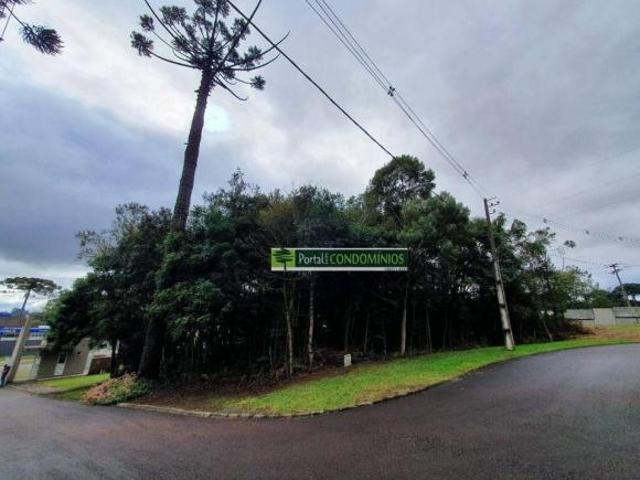 Terreno à venda, 2712 m² por R$ 1.100.000,00 Orleans Curitiba/PR