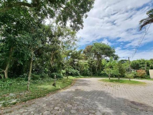 Terreno à venda, 2725 m² Jardim São Lourenço Bertioga/SP