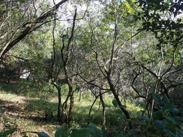 Terreno à venda, 2845 m² por R$ 1.800.000,00 Jardim Mediterrâneo Cotia/SP