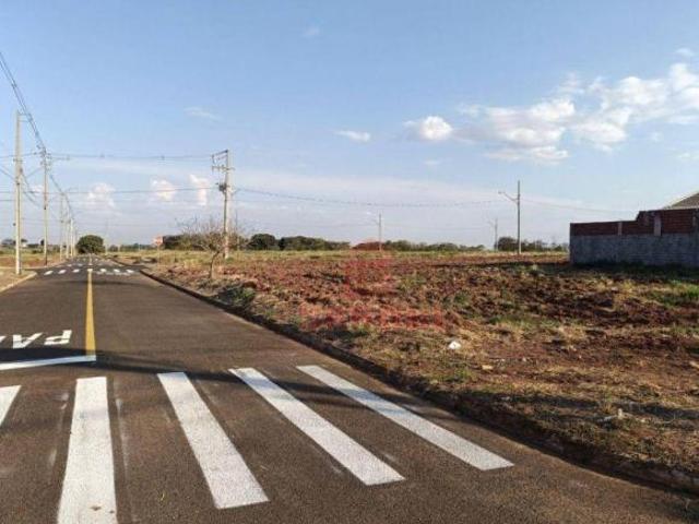 Terreno à venda, 287 m² por R$ 80.000 Centro Presidente Castelo Branco/PR