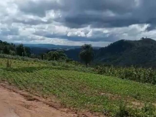 Terreno à venda, 28000 m² Bateias Campo Largo/PR