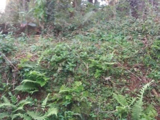 Terreno à venda, 280 m² por R$ 220.000,00 Jardim Maria Trindade São Roque/SP