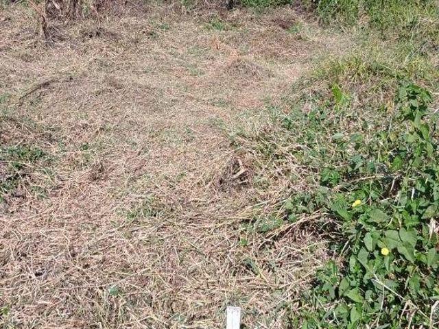 Terreno à venda, 295 m² por R$ 110.000,00 Balneário dos Golfinhos Caraguatatuba/SP