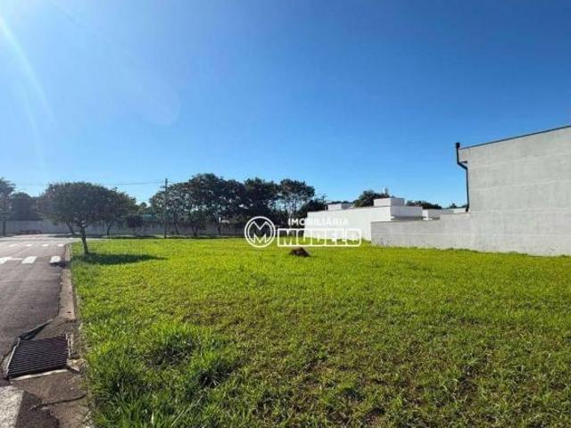 Terreno à venda, 296 m² por R$ 250.000,00 Campestre Piracicaba/SP