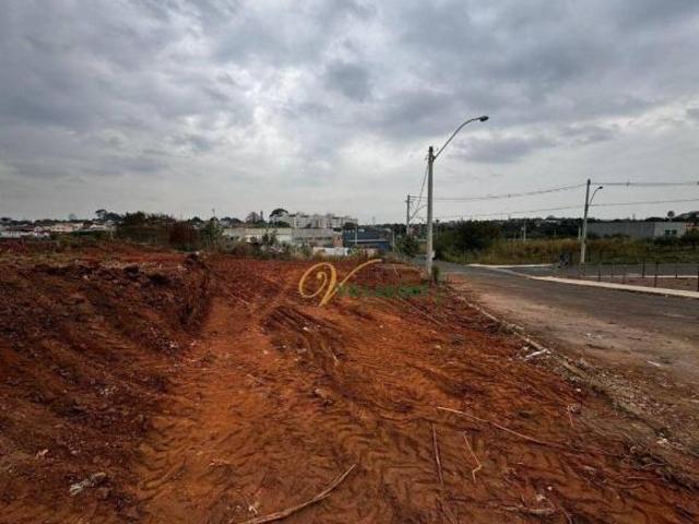 Terreno à venda, 299 m² por R$ 160.000,00 Jardim Caparroz São José do Rio Preto/SP