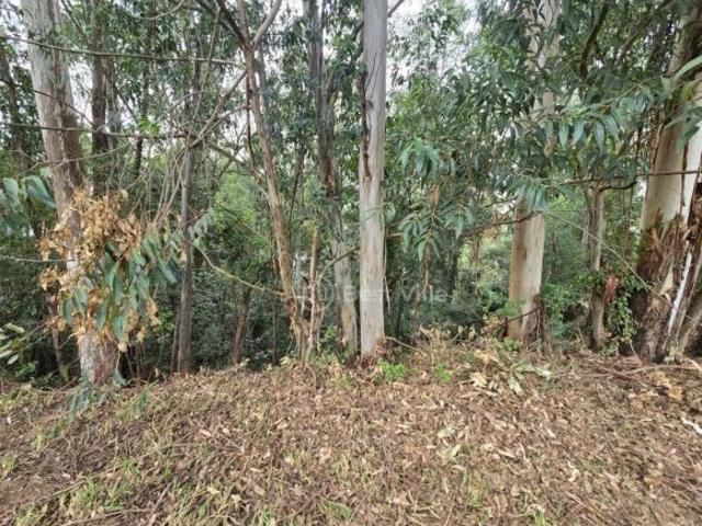 Terreno à venda, 2916 m² por R$ 4.000.000 Alphaville Barueri/SP