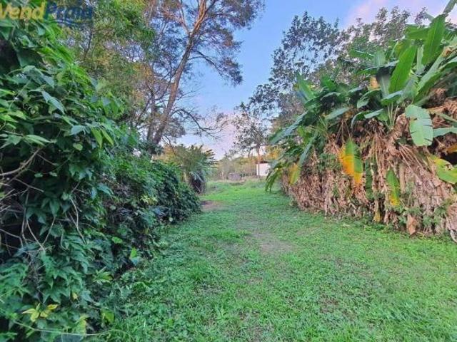 Terreno à venda, 29354 m² por R$ 5.000.000,00 São Pedro Ilhabela/SP