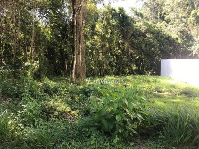 Terreno à venda, 293 m² por R$ 1.700.000,00 Tucuruvi São Paulo/SP