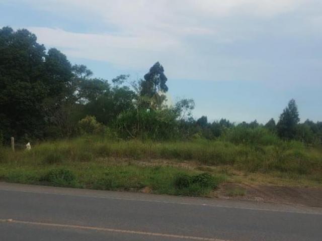 Terreno à venda, 29.040 m2, SÃO JOSÉ DOS PINHAIS PR